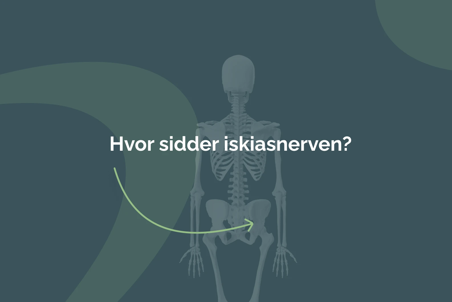 Iskiasnerven - Brug for hjælp til behandling af smerter?