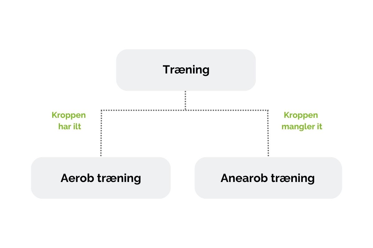 Aerob vs. anaerob træning - Hvad er forskellen på dem?